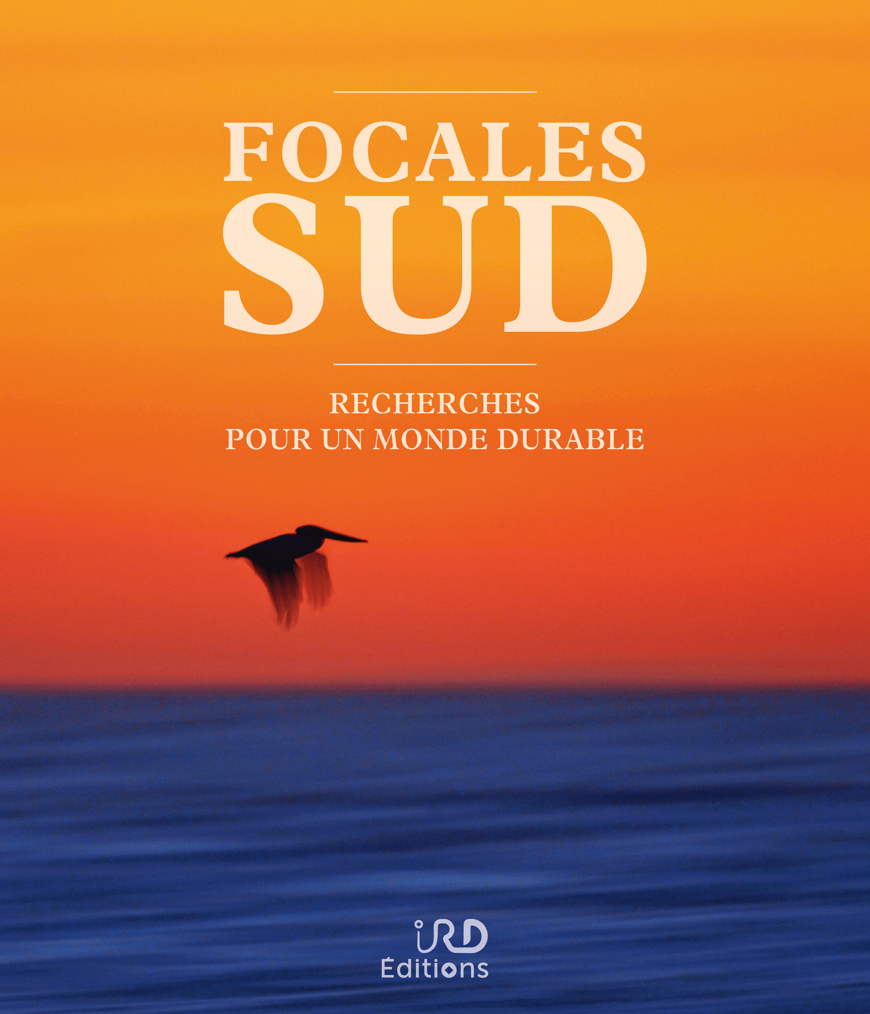 Focales Sud - Recherches pour un monde durable - Collectif (EAN13 ...